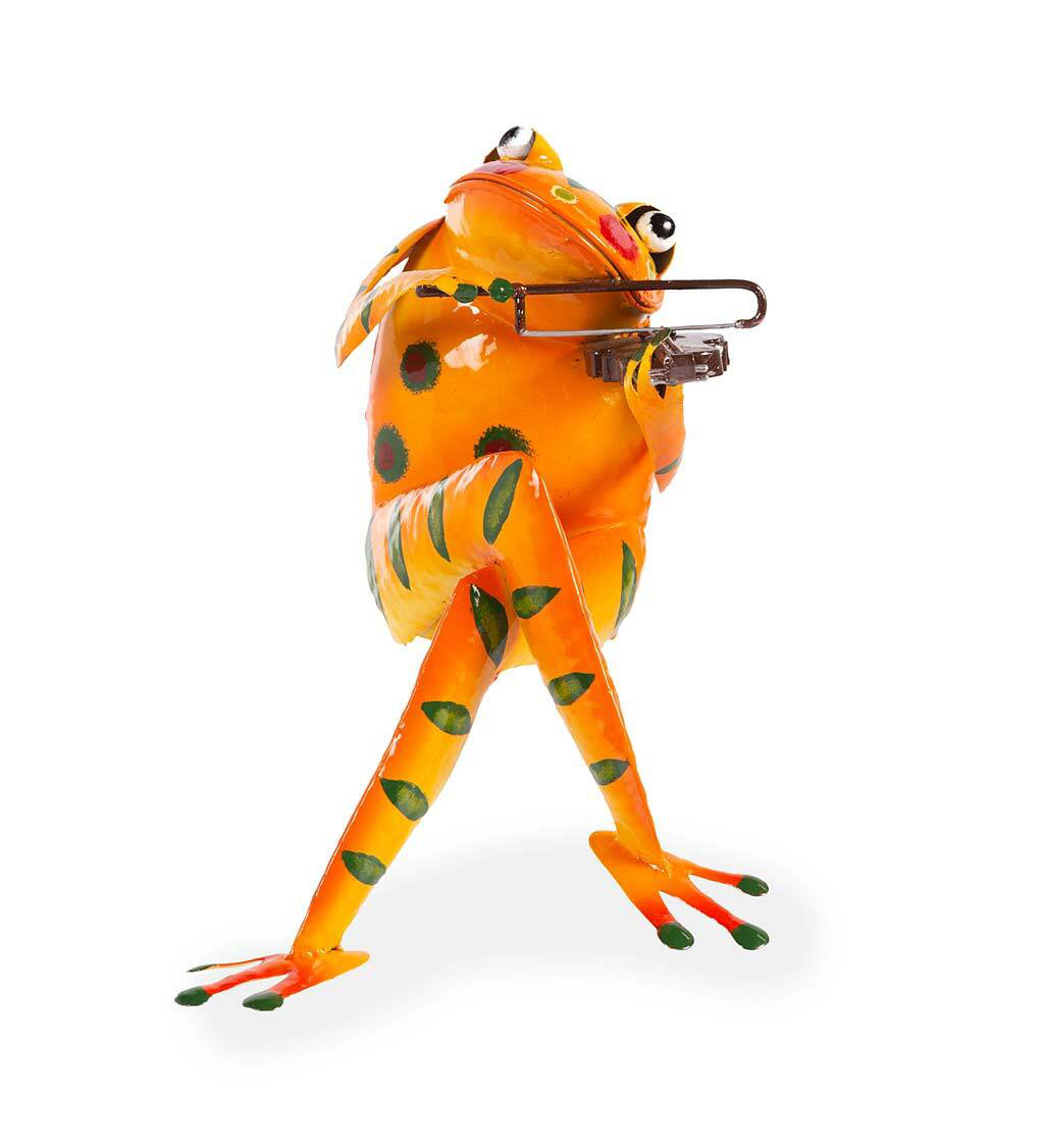 Wind & Weather Frog Musician Statue | Wayfair