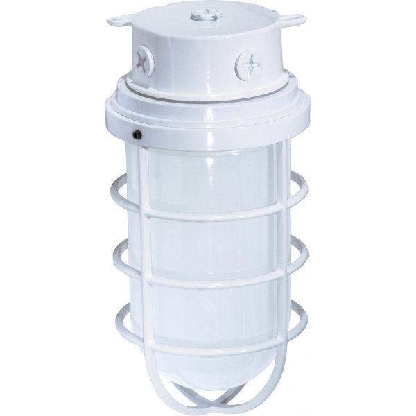 Breakwater Bay Edgewood Outdoor Bulkhead Light & Reviews | Wayfair