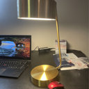 Mercury Row® Guffey Metal Desk Lamp | Wayfair