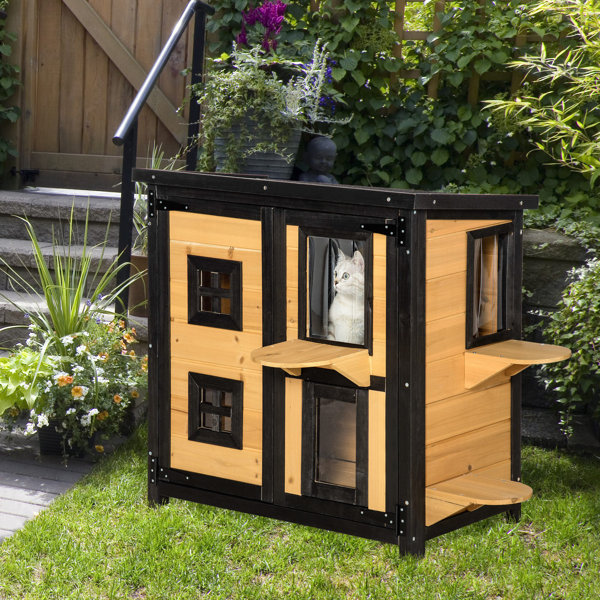 Archie & Oscar™ Stouffer Cat House & Reviews - Wayfair Canada