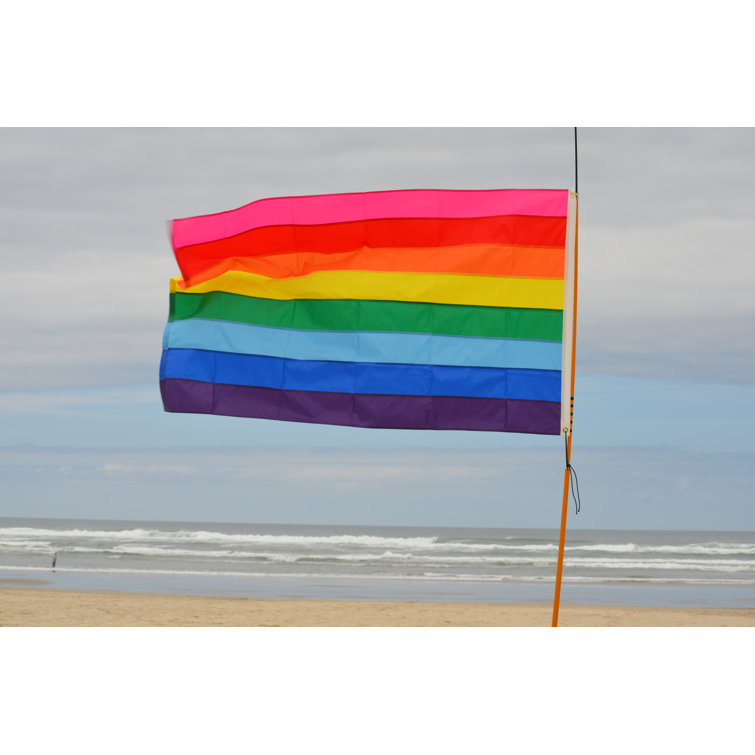InTheBreeze Historic Pride 3x5 Grommet Flag & Reviews | Wayfair