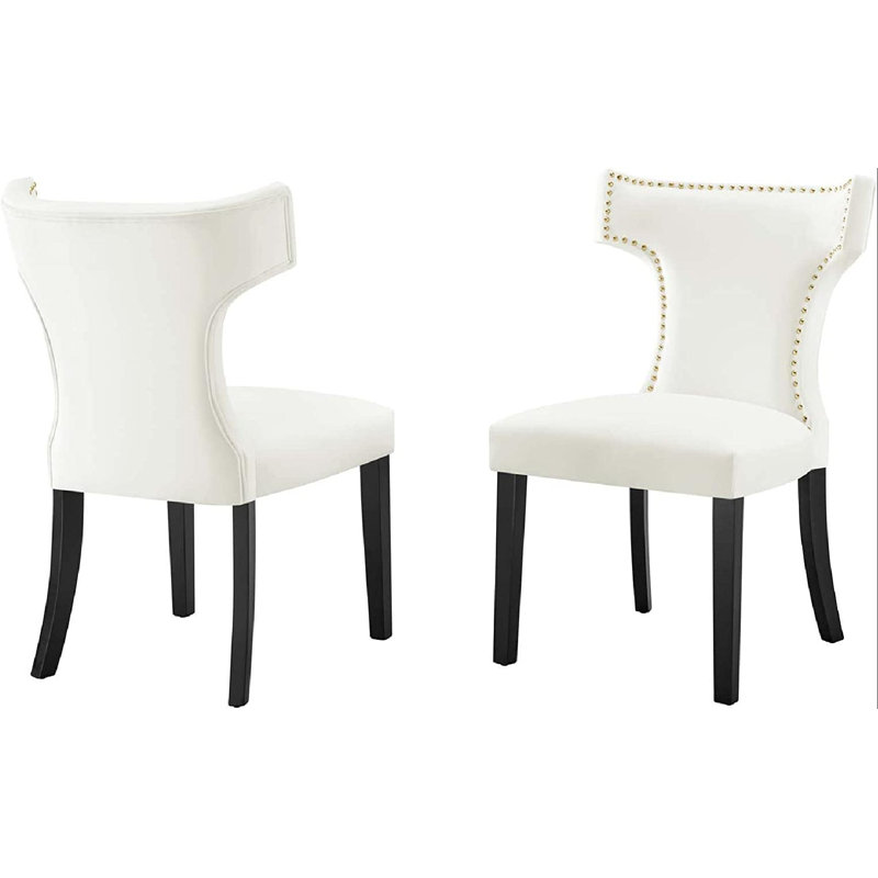 Rosdorf Park Giano Velvet Wing Back Parsons Chair | Wayfair