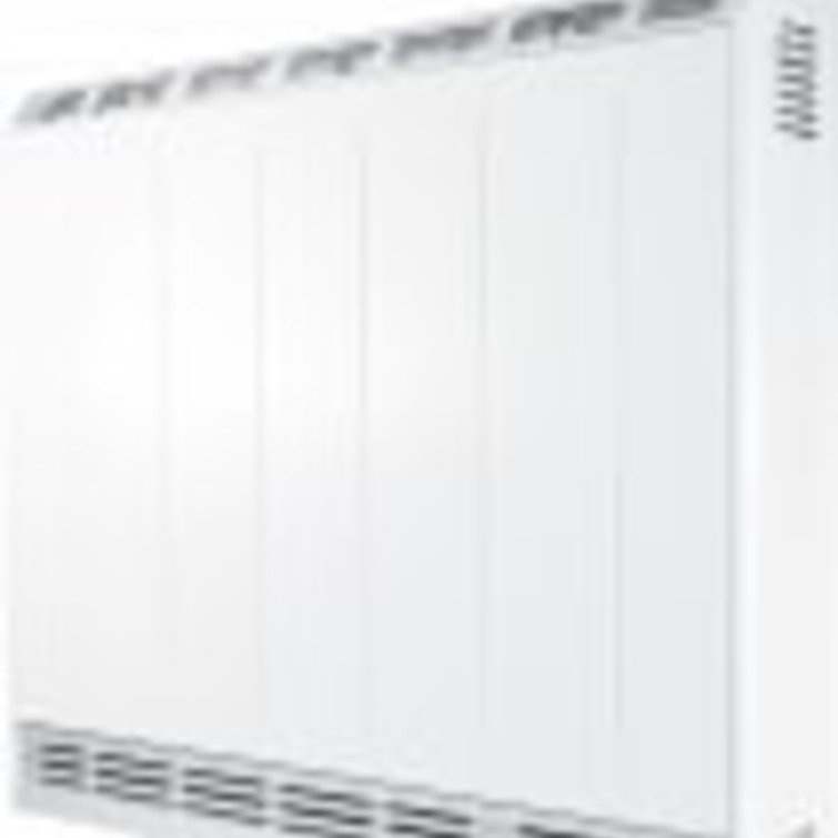 Dimplex Slimline 1250 Watt Wall Insert Electric Heater with Digital ...