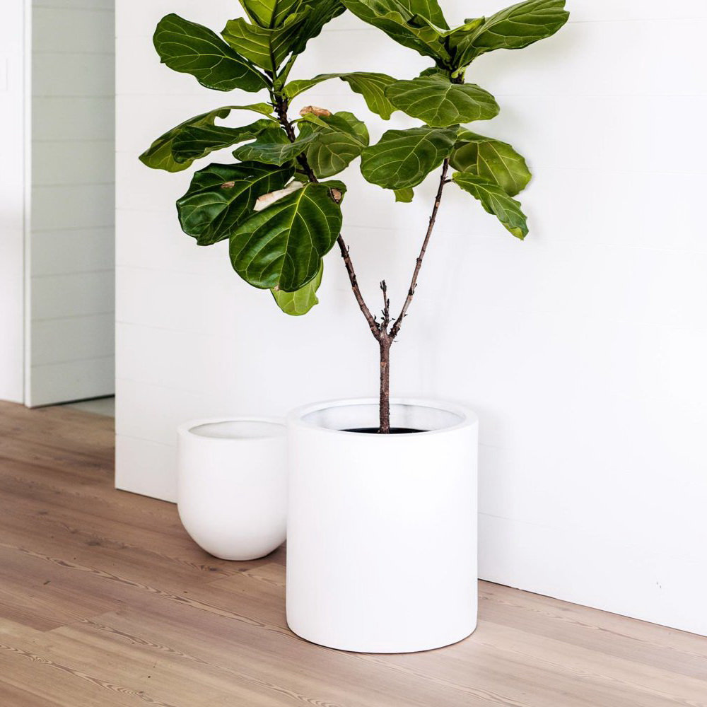 Wade Logan® Paes Handmade Pot Planter & Reviews | Wayfair