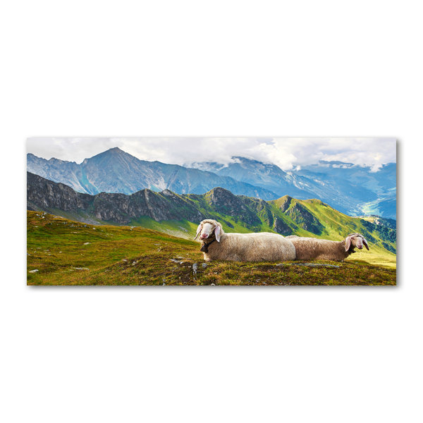 Union Rustic Sheep In The Alps - Wrapped Canvas Art Prints | Wayfair.co.uk