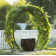 TerraTrellis Gracie Modern Steel Arbor & Reviews | Wayfair