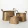 Rosdorf Park Botanical Basket Set | Wayfair