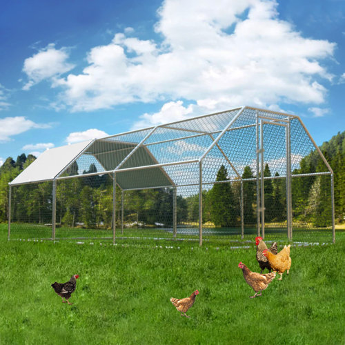 Tucker Murphy Pet™ Walk In Chicken Run & Reviews | Wayfair