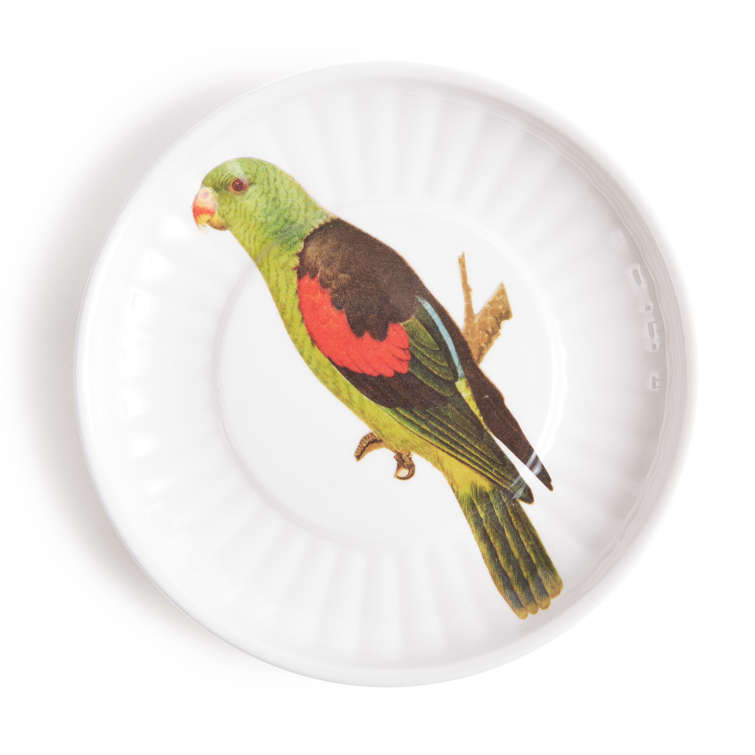 Bayou Breeze PARROT SM. PAPER PLATES SET OF 4 | Wayfair