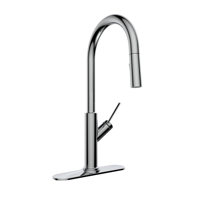 Keeney Manufacturing Company Keeney Pull Down Kitchen Faucet & Reviews ...
