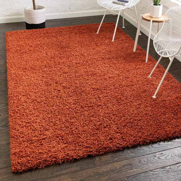 Terracotta-area-rug | Wayfair