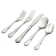 Oneida True Rose 45 Piece Everyday Flatware Set | Wayfair