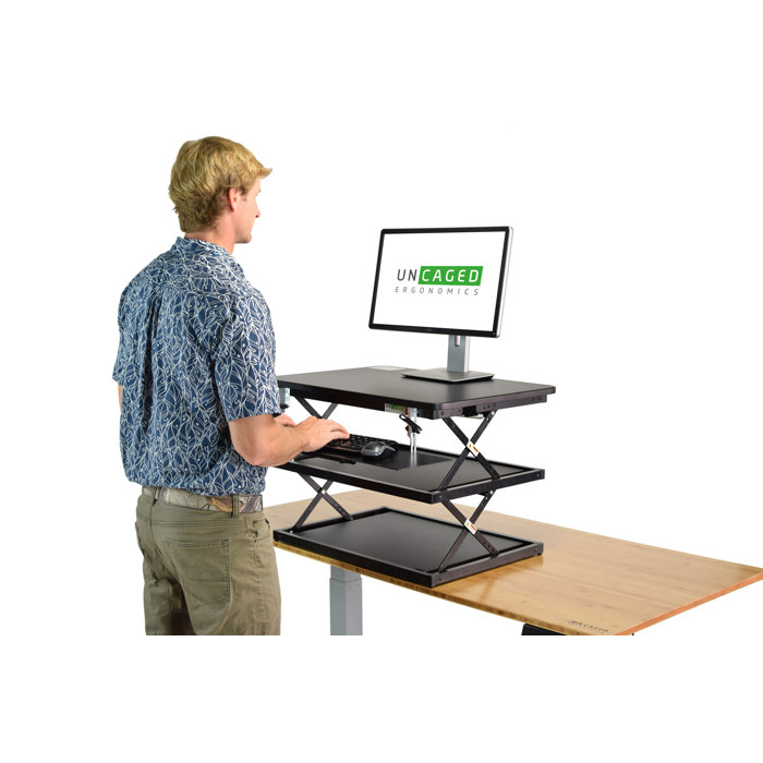 Symple Stuff Gandy 31'' Desk & Reviews | Wayfair