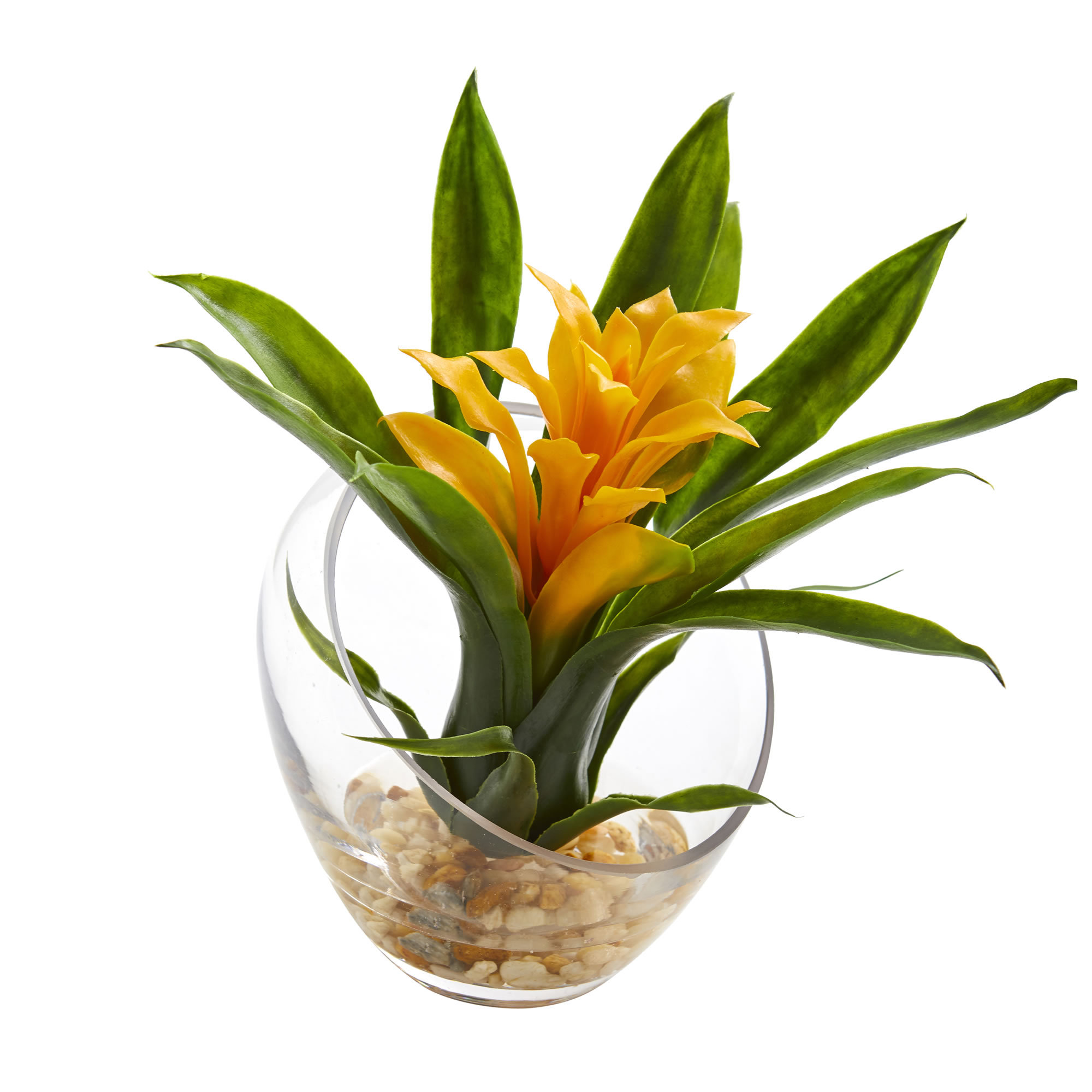 Orren Ellis Tropical Bromeliad Floral Arrangement in Vase & Reviews ...