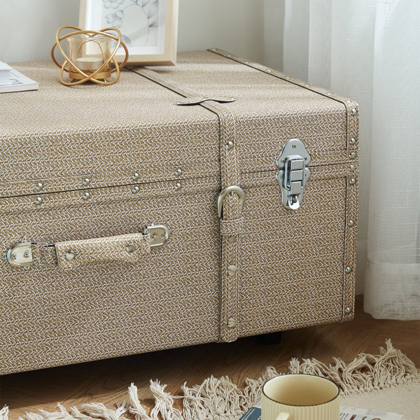 DormCo Texture Brand Trunk - Taupe Weave | Wayfair