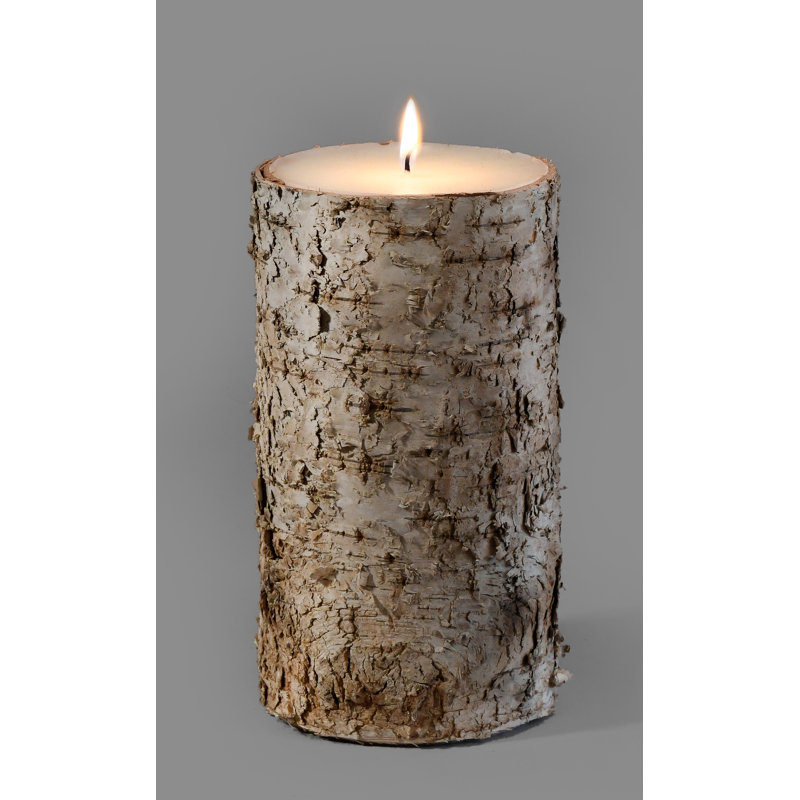 Loon Peak® Birch Bark Unscented Pillar Candle & Reviews | Wayfair