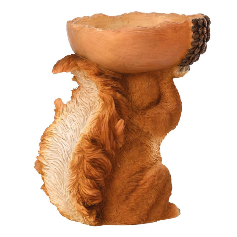 Union Rustic Esschert Design Feeding Bowl Acorn with Squirrel 18.5 x 10 ...