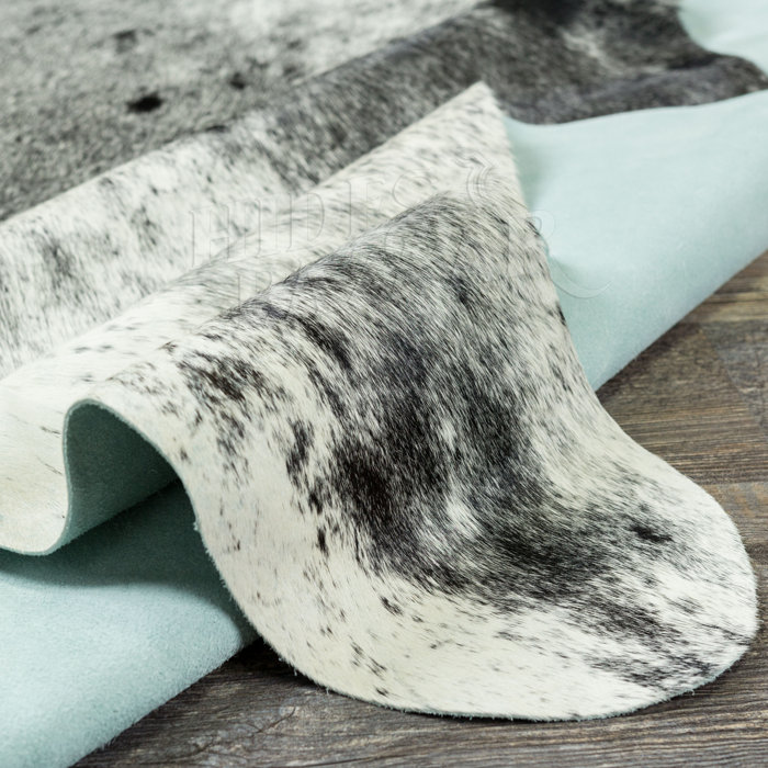 Union Rustic Karla Black/White Rug | Wayfair