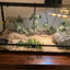 REPTIZOO 40 Gallon Terrarium & Reviews | Wayfair