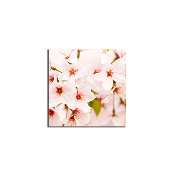 Ebern Designs Caiah Unframed Photograph on Canvas | Wayfair.co.uk