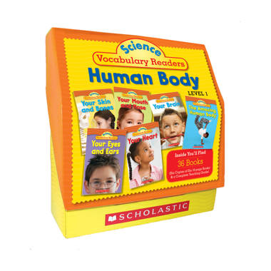 Scholastic Primary Math Charts Bulletin Board Set | Wayfair