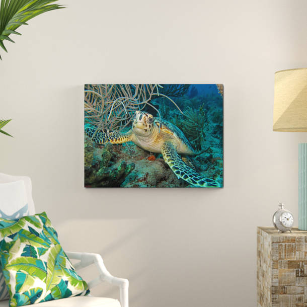 Bay Isle Home Turbeville Rustic Metal and Capiz Shell Table Top Turtle ...