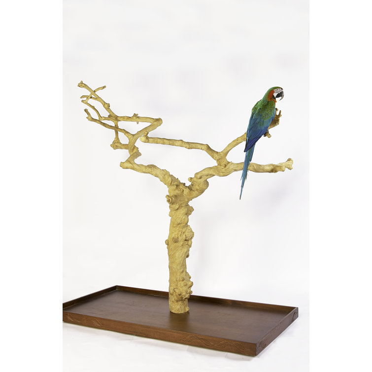 Archie & Oscar Violetta 150Cm Wood Bird Play Stand | Wayfair.co.uk