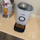 Pawple Pets Pet Automatic Feeder & Reviews | Wayfair