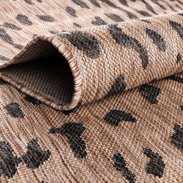 Langley Street Ivery Outdoor Area Rug & Reviews | Wayfair