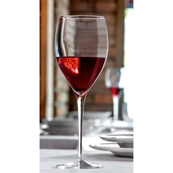 Luigi Bormioli Magnifico 4 - Piece Glass Stemware Set | Wayfair