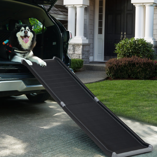 Tucker Murphy Pet™ Folding Safety Dog Ramp | Wayfair
