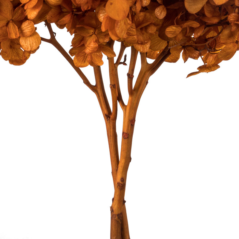 Primrue Natural Botanicals 15 Hydrangea with Multiple Branch Segments ...