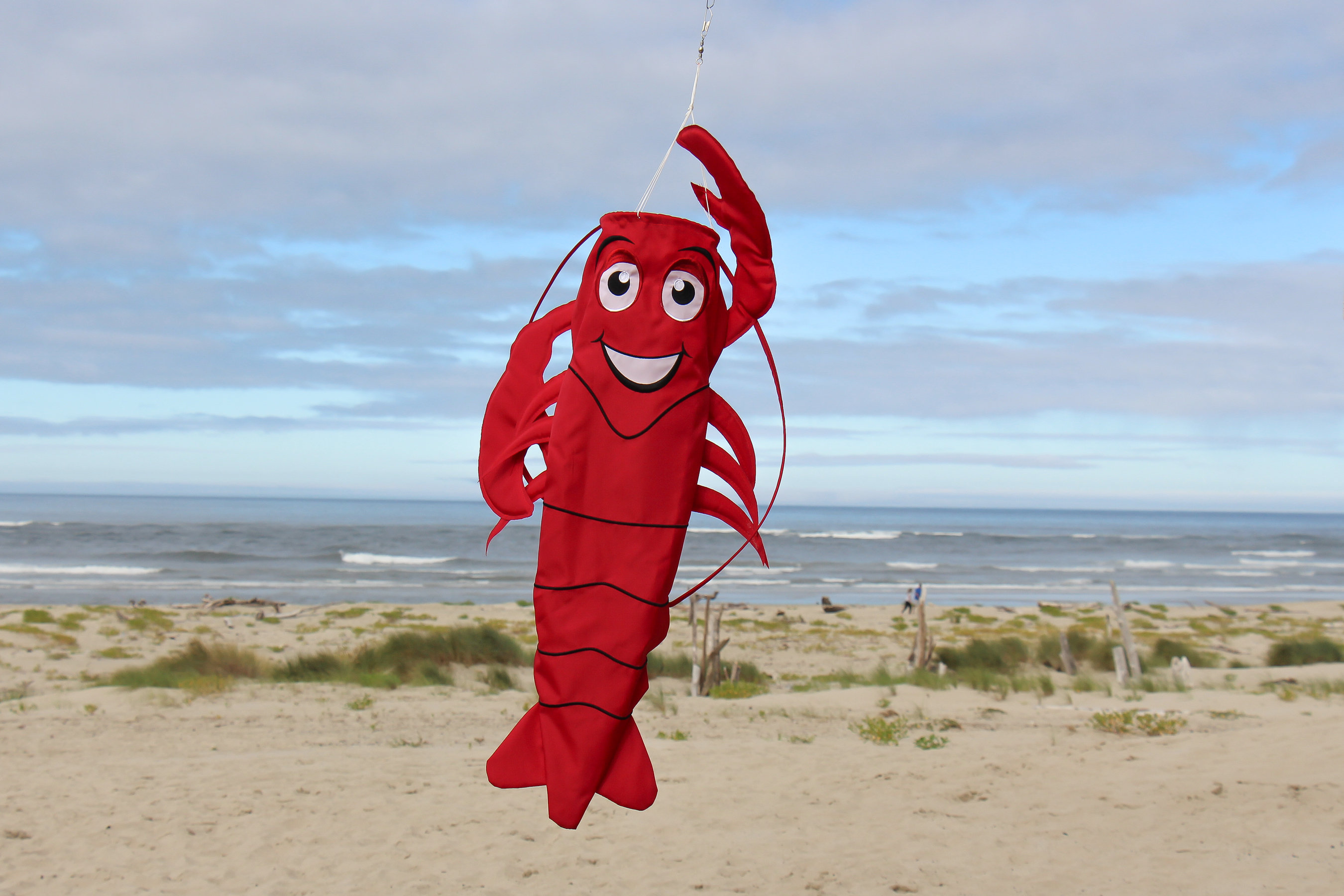 InTheBreeze Lobster 3D Windsock | Wayfair