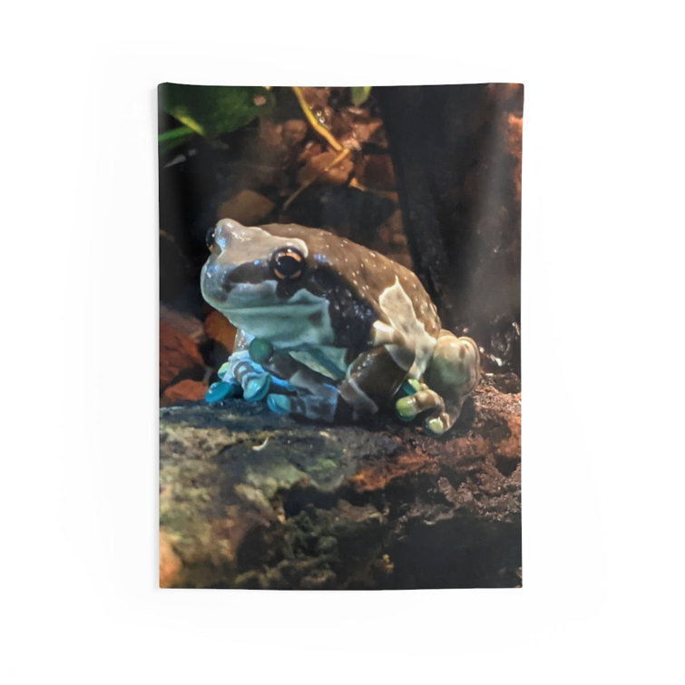 Marick Booster Toad Indoor Wall Tapestry | Wayfair