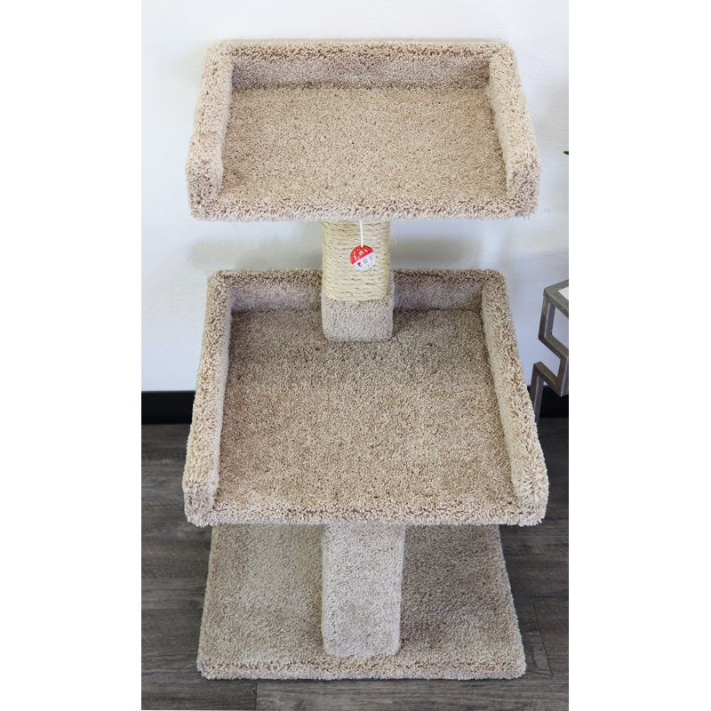 New Cat Condos Spacious Cat Perch for Large Cats | Wayfair