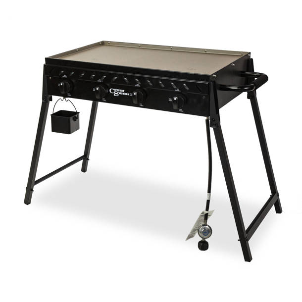 Country Smokers 17.5" Wood Pellet Grill & Reviews | Wayfair