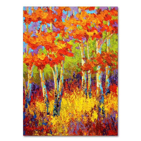 Trademark Art Marion Rose Evening Glow On Canvas by Marion Rose ...