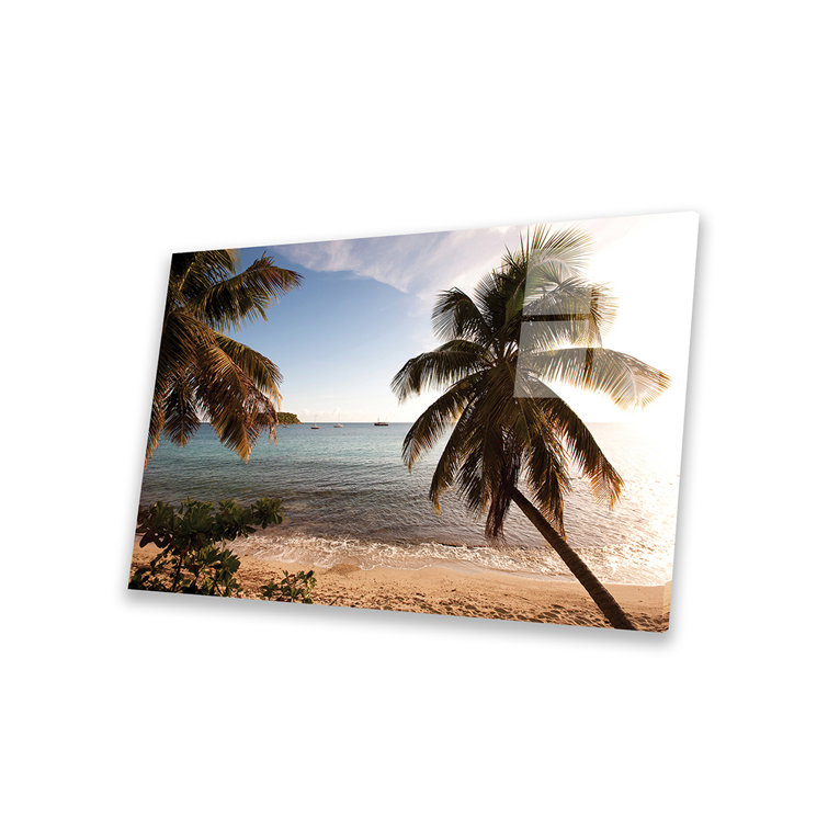 Bayou Breeze Palm Trees On Beach At Sunset, Culebra Island, Puerto Rico ...