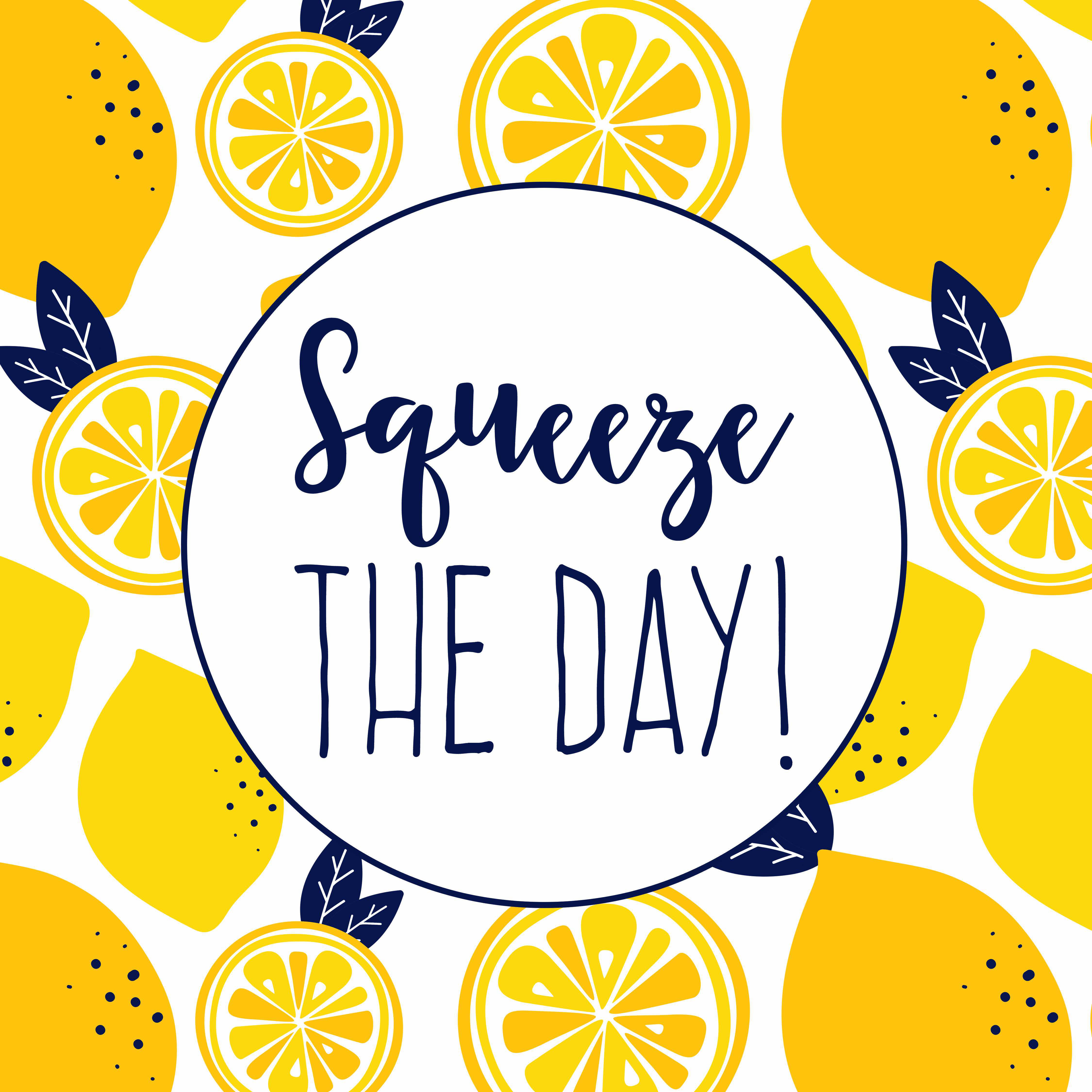 Trinx Squeeze The Day | Wayfair