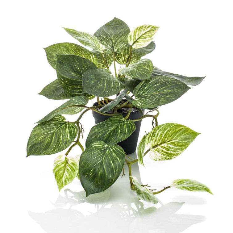 The Seasonal Aisle 55Cm Faux Scindapsus Aureus Plant in Pot | Wayfair.co.uk