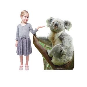 Advanced Graphics Animals Koala Bear Cardboard Stand-Up | Wayfair