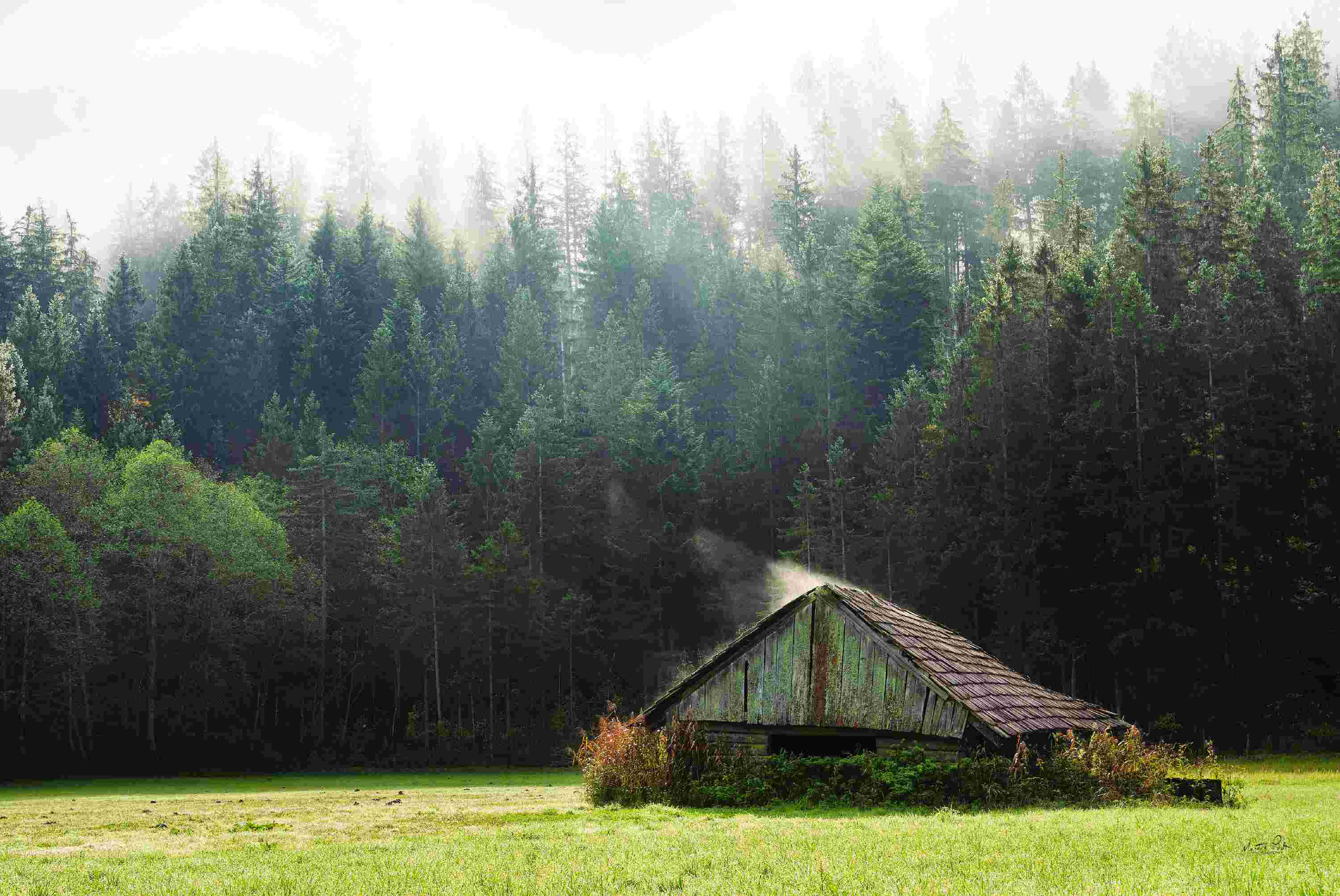 Rosalind Wheeler Old But Still Smoking On Canvas by Martin Podt Graphic ...