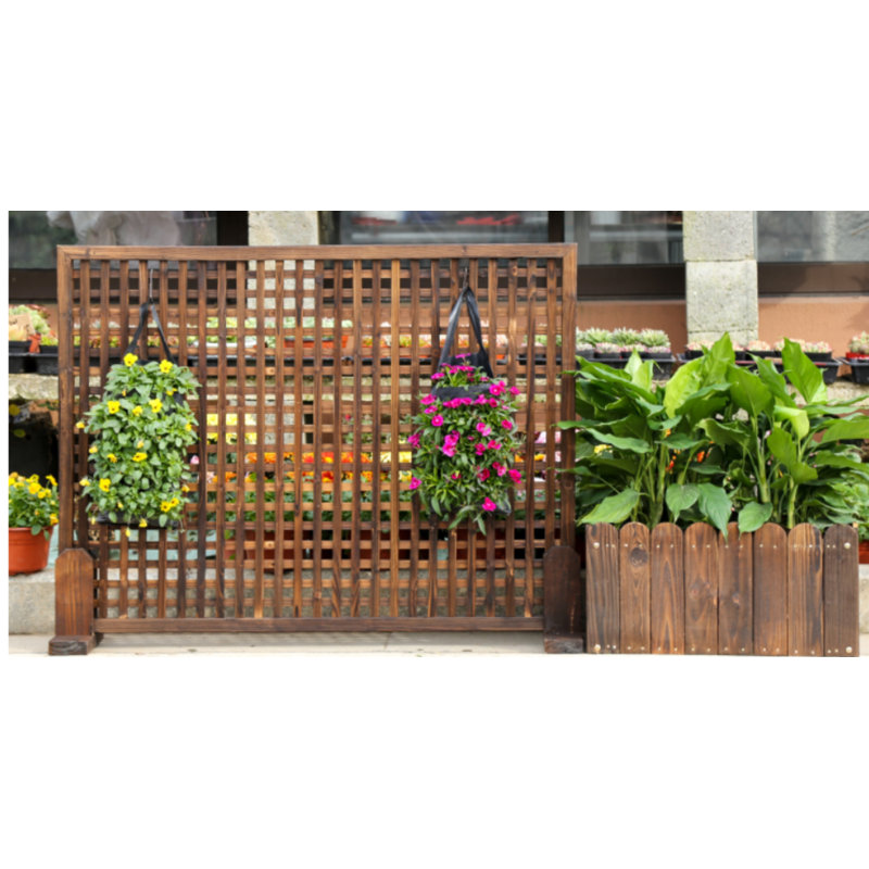 Porpora 6 ft. H x 3 ft. W Wood Privacy Screen | Wayfair