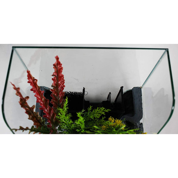 Penn Plax 1 Gallon AquaTerrium™ Aquarium Tank & Reviews | Wayfair