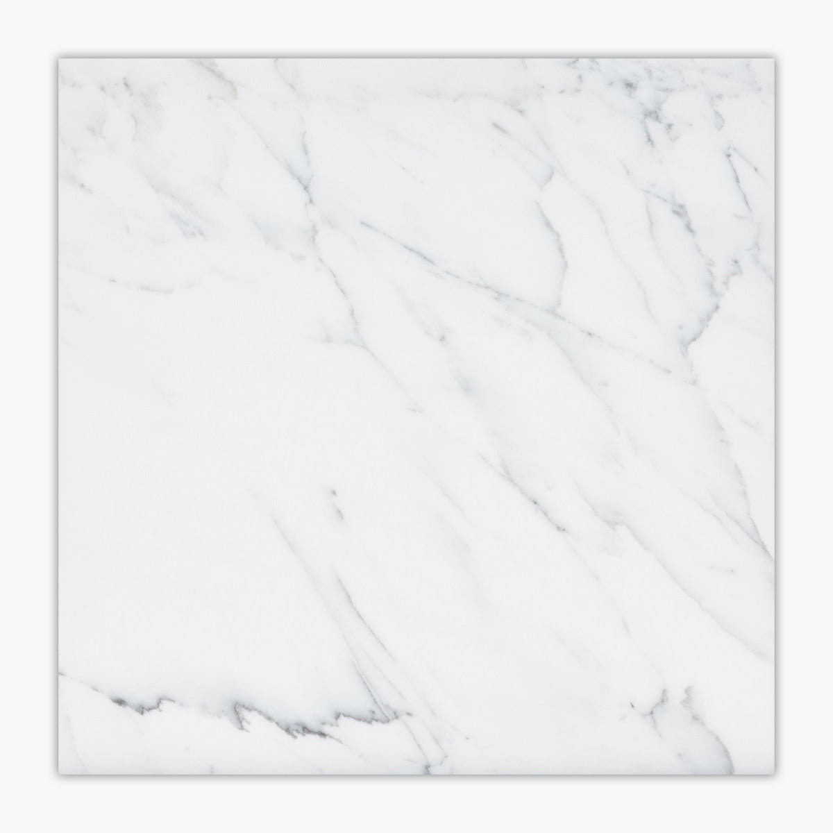 Calacatta Tile 12" x 12" Marble Singular Wall & Floor Tile | Wayfair