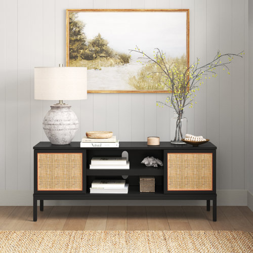 Sand & Stable Prudhoe TV Stand for TVs up to 55" & Reviews | Wayfair