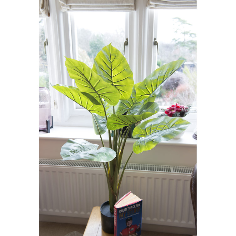 The Seasonal Aisle 100Cm Faux Elephant Ear Plant in Pot | Wayfair.co.uk