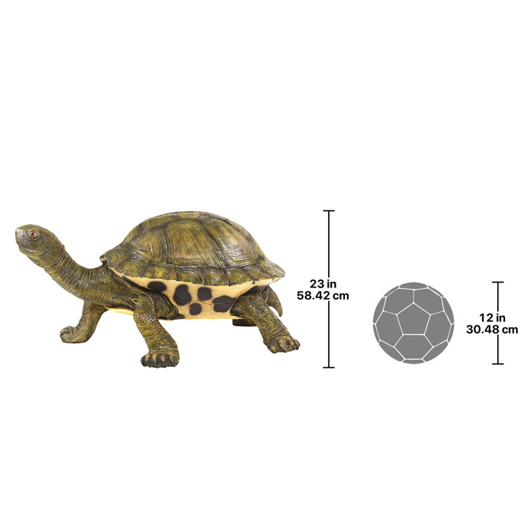 Design Toscano The Tranquil Tortoise Statue & Reviews | Wayfair