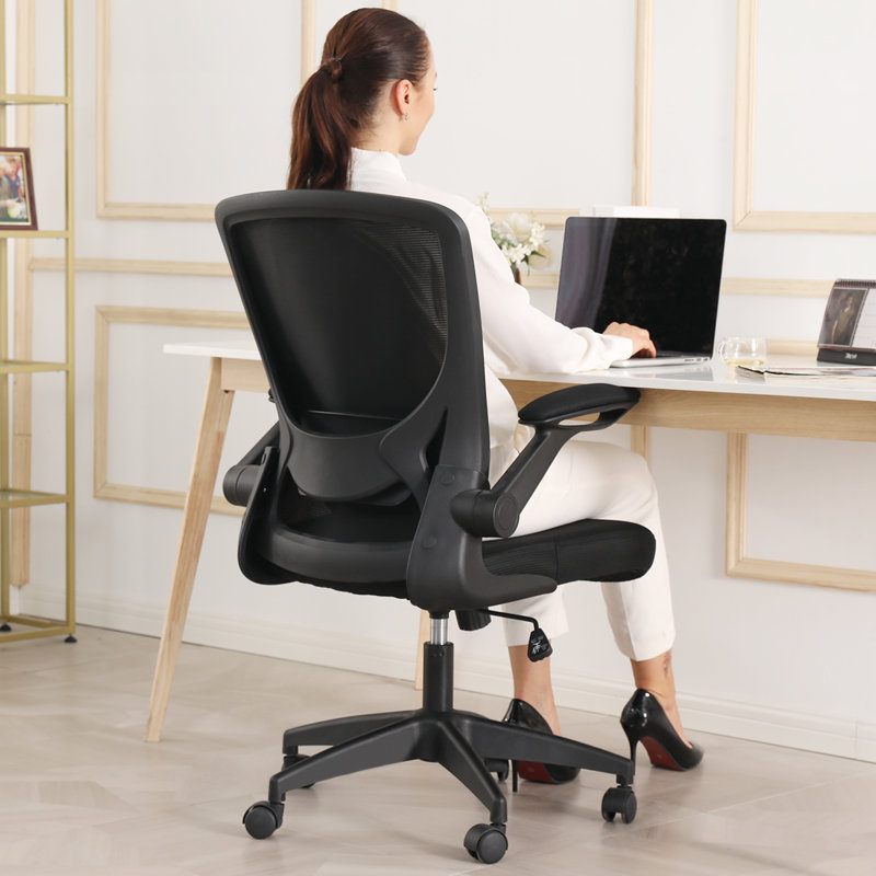 Inbox Zero Home Office Ergonomic Mesh Task Chair & Reviews | Wayfair