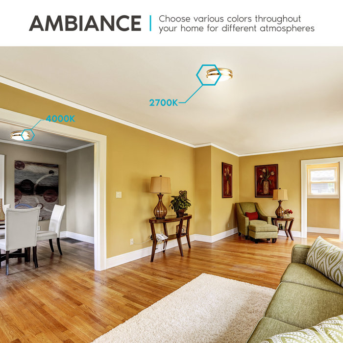 Orren Ellis Eryx Acrylic LED Flush Mount Ceiling Light | Wayfair